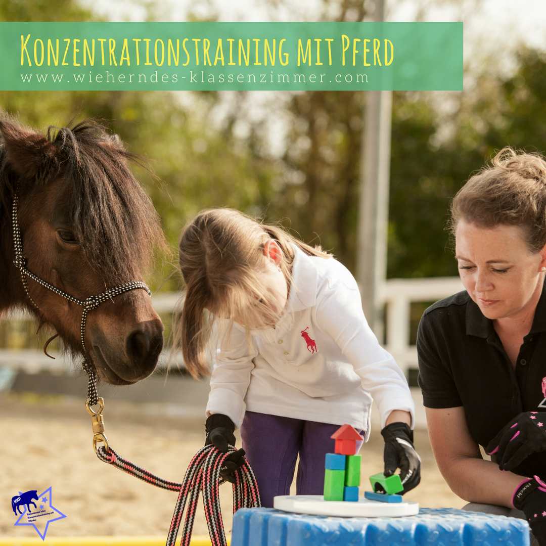 KKP-Konzentrationstraining mit Pferd - Fortbildungen für ...