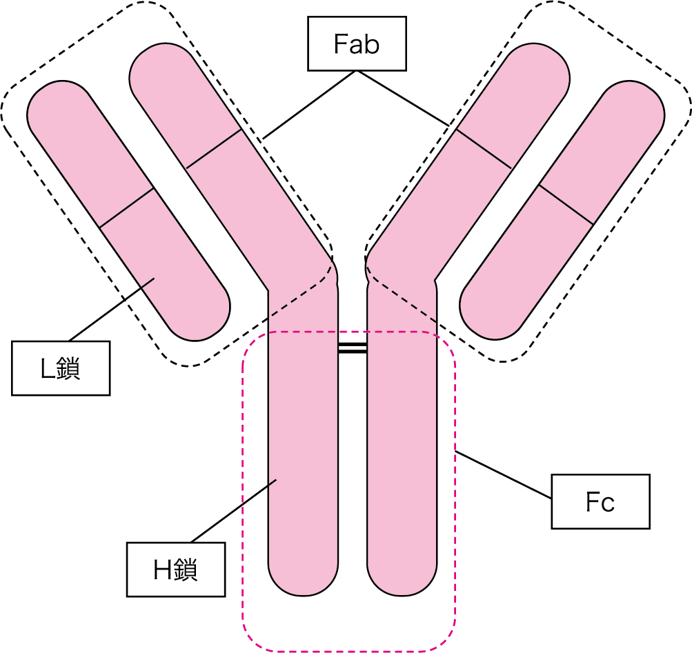 現代医学(132) - 幹鍼灸院（浦和駅西口｜不定愁訴と運動器疾患）