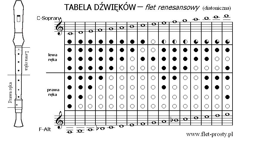 flet prosty podstawy - Strona internetowa muzykalni!