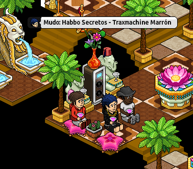 Traxmachine Marron - Habbo Secretos 2025