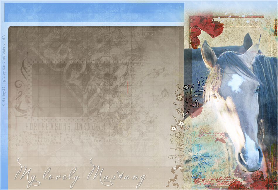 Mustang - Hgfx (Harley graphics) - ☼ Deine Howrseseite ☼ (Archiv)