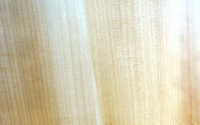 Ginkgo Biloba 【 銀杏】 - ITAKURA Japanese Premium Wood