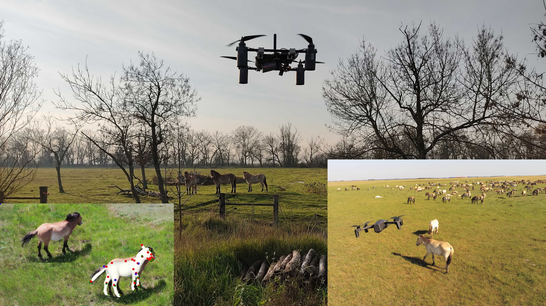 Animal Motion Capture System - flightrobotics