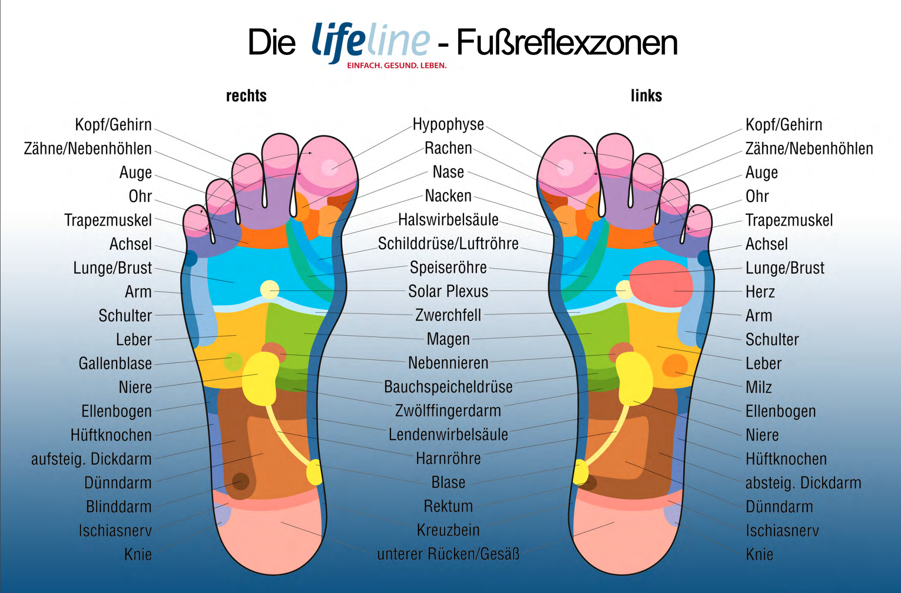 Fußreflexzonen: Landkarte unseres Körpers - Re:charge Me! Abschalten ...