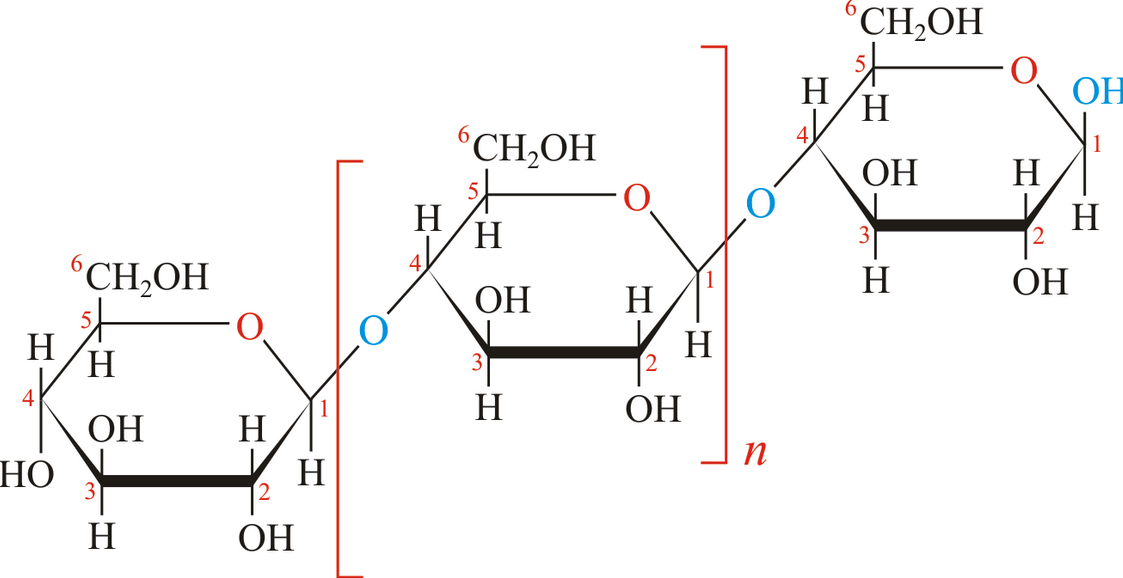 La cellulose - Chimie et Couleurs
