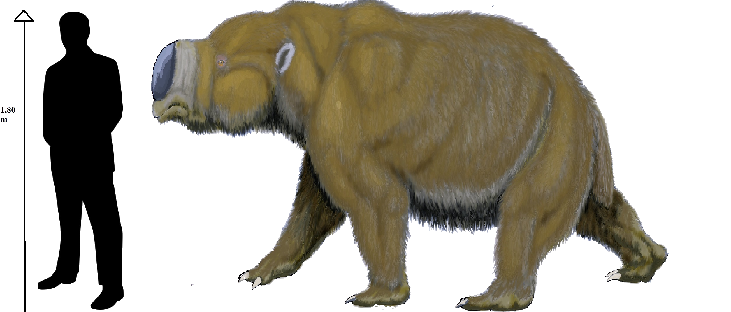 Diprotodon - L’encyclopédie-animalière