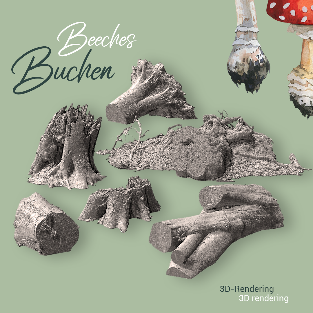 Startseite - BERGSWERK-MODELL