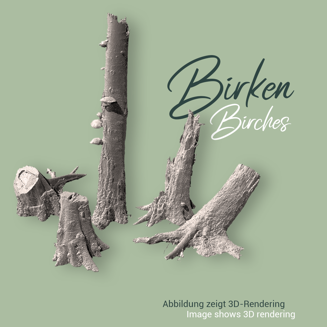 Startseite - BERGSWERK-MODELL