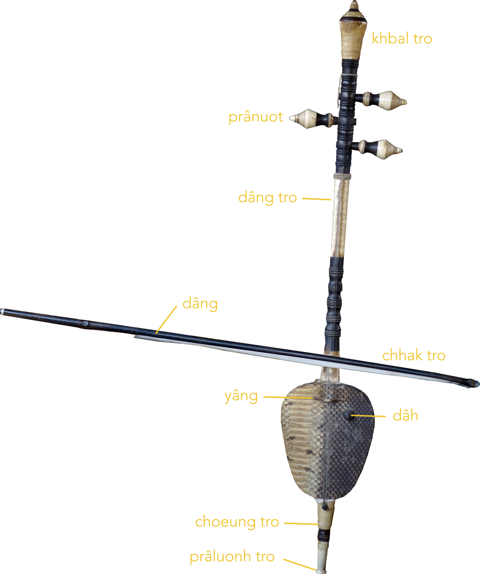 Fiddle - tro khmer ទ្រខ្មែរ - Sounds of Angkor