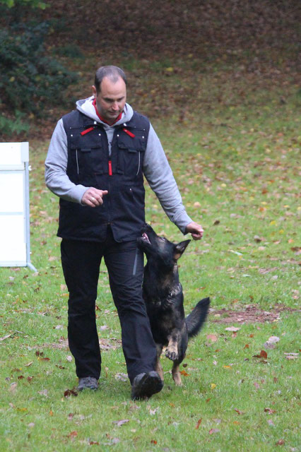 Arcela vom Wehrdener Schlosspark - Kemmer´s Schäferhundezucht (SV)