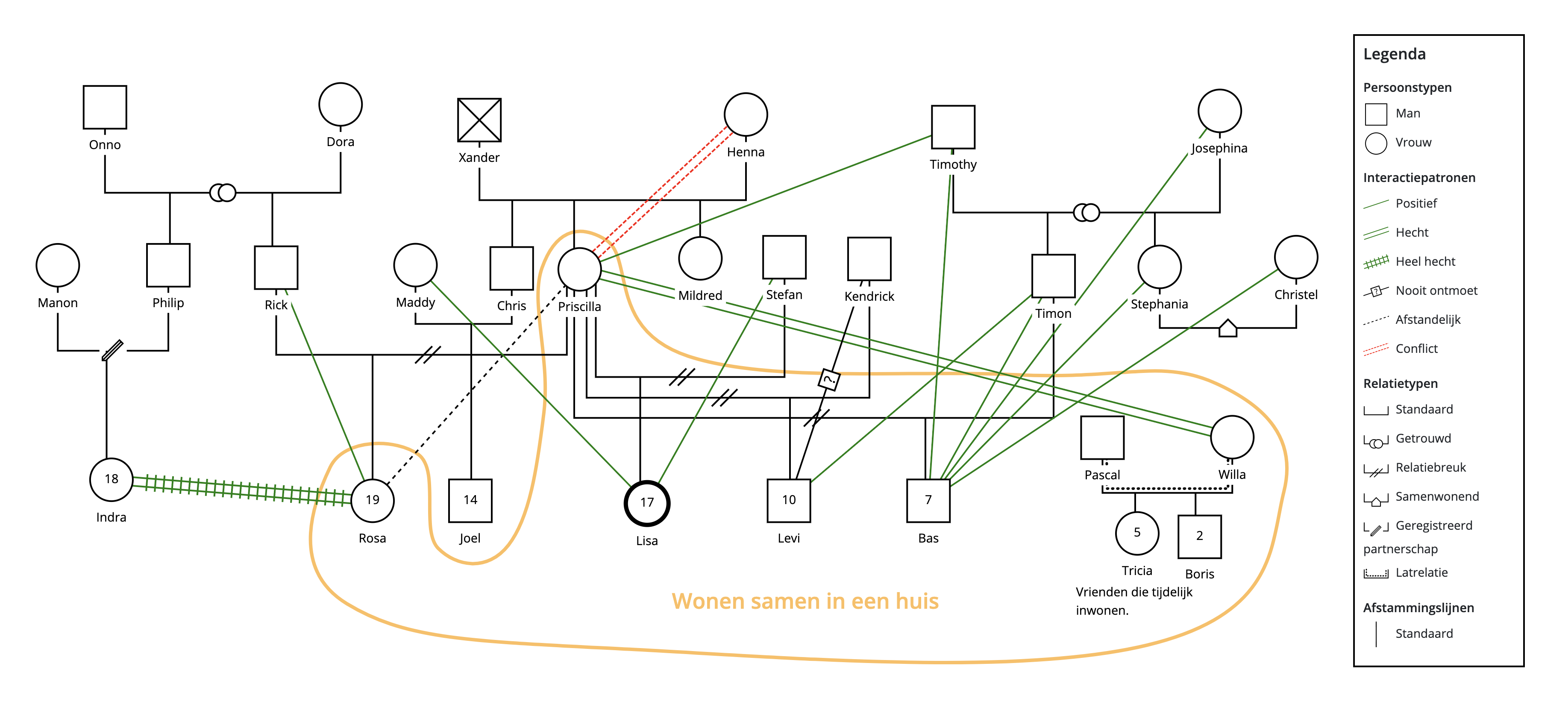 Petra Rozeboom over het gebruik van het genogram voor Signs of Safety ...