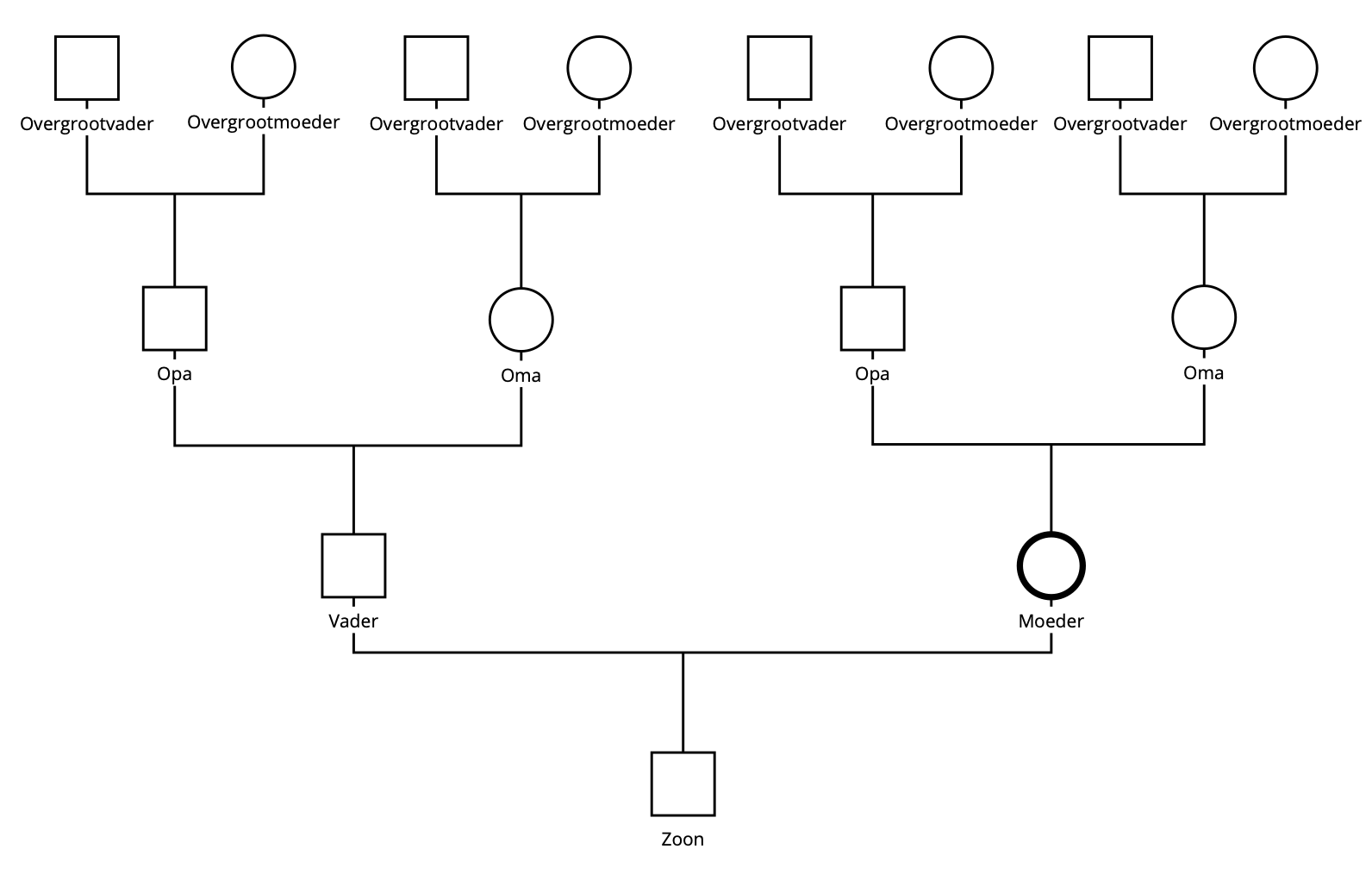 wat is een genogram? - Roots of Me Genogram Software