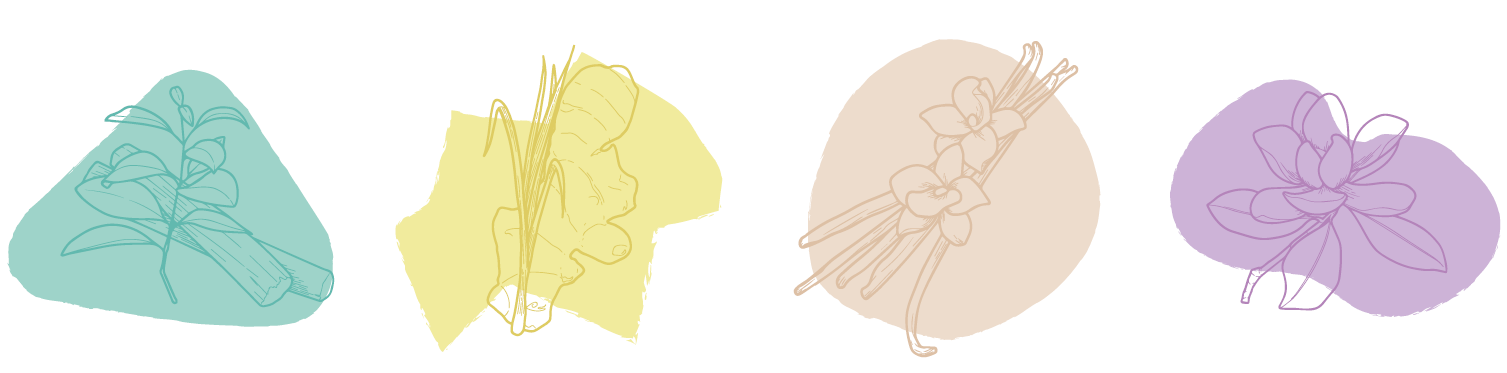 Aromatherapy Lines - Graphic Design and Illustration