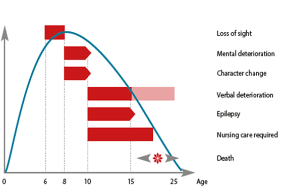 About NCL - NCL-Stiftung
