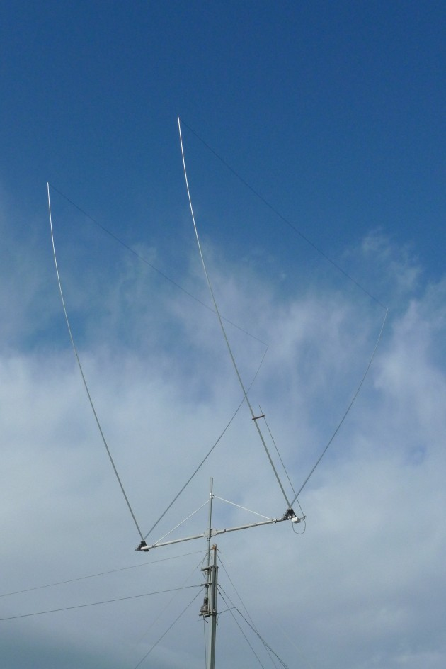 2 Elements 20m Delta Loop - IW7DMH - Ham Radio Station