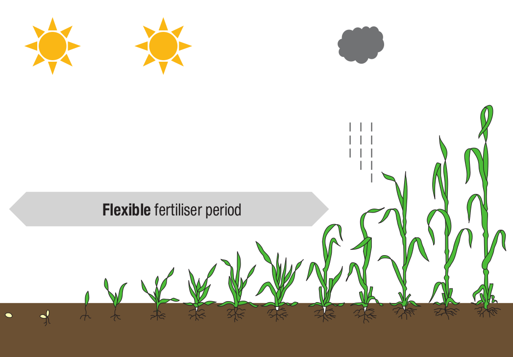 STABUR® stabilized urea fertilizer - Witt Handel GmbH