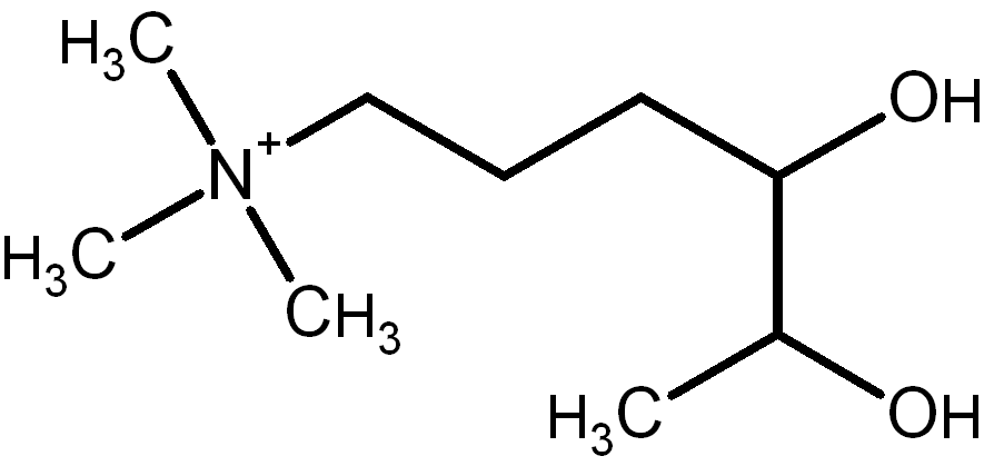 Muscarin - Natur im Barnim