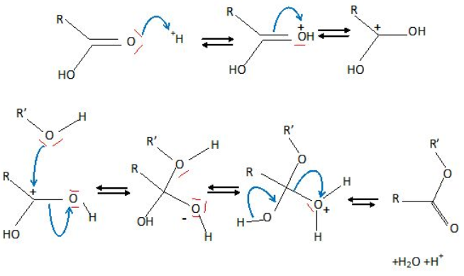 Synthèse de l'acétate de benzyle - Site Ellasciences de Sciences ...