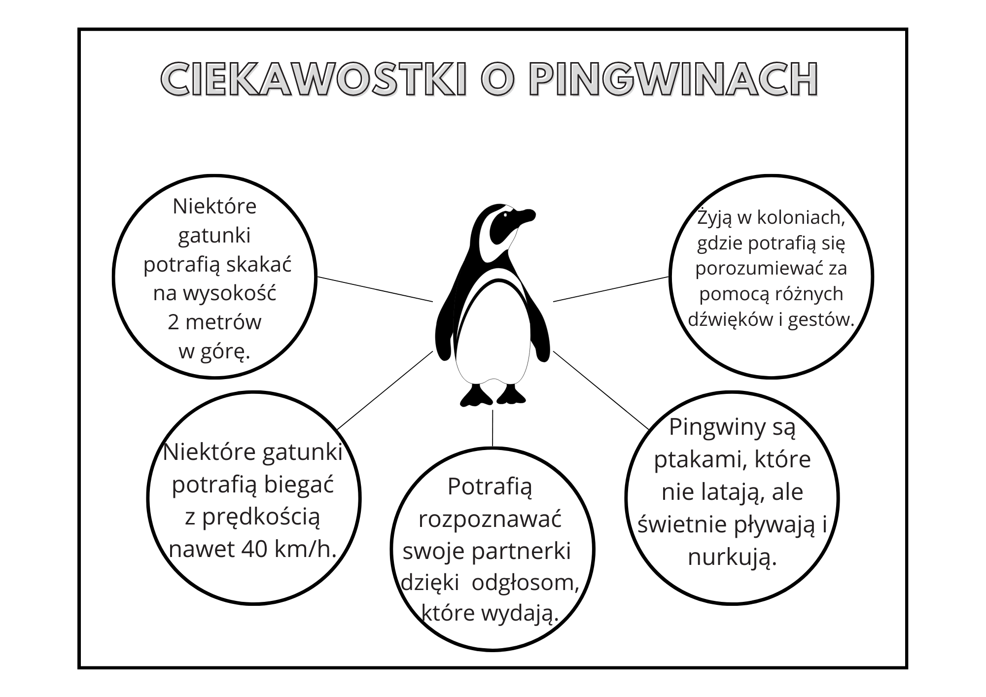 Antarktyda - klikankowo