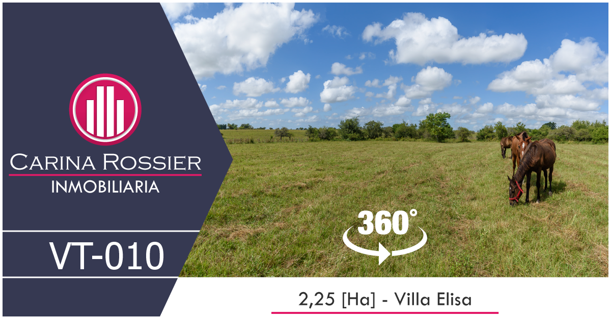 VT-010 - Carina Rossier Inmobiliaria