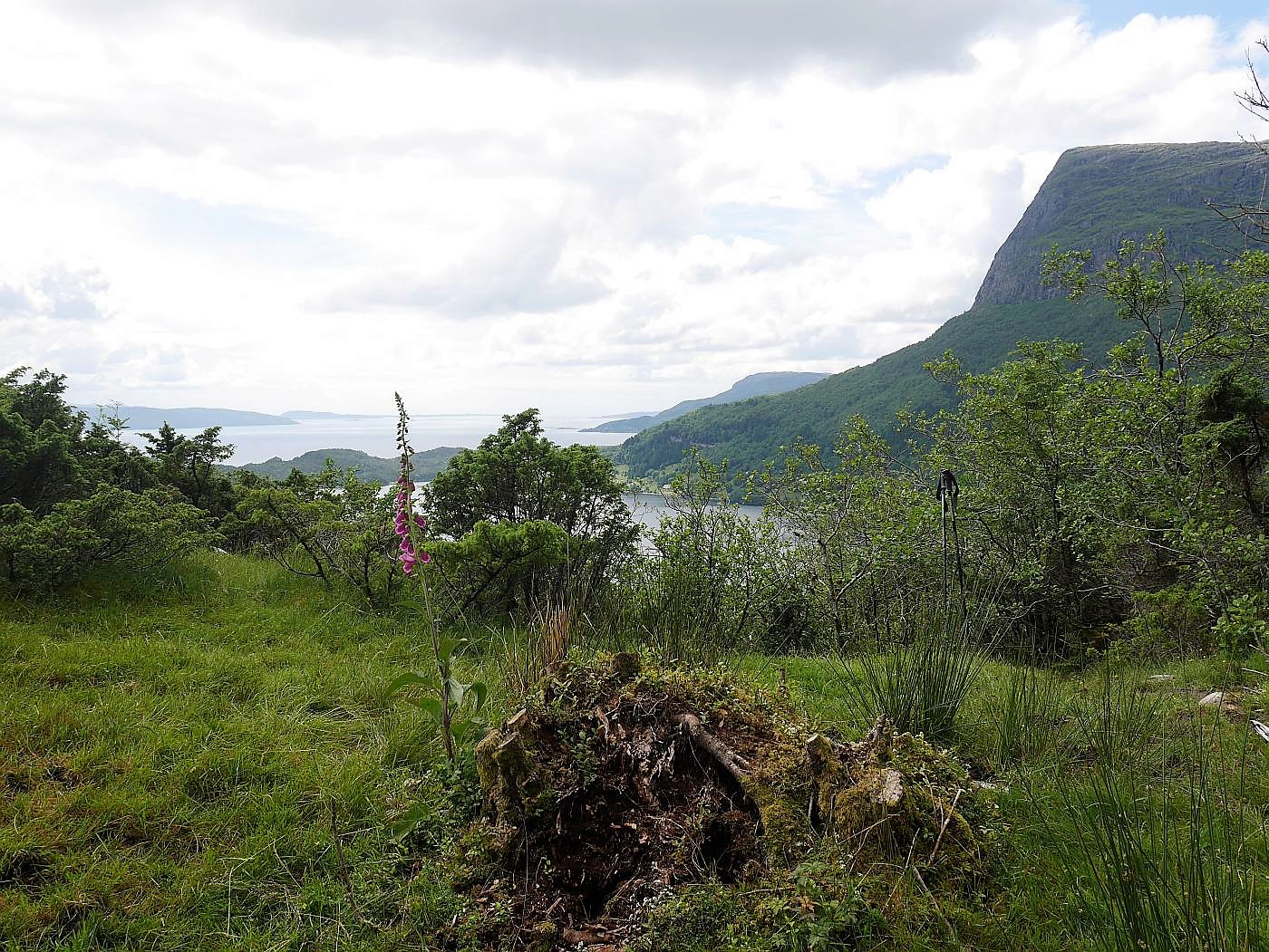 3.07. Lihesten am Sognefjord - lofotenreises Webseite!