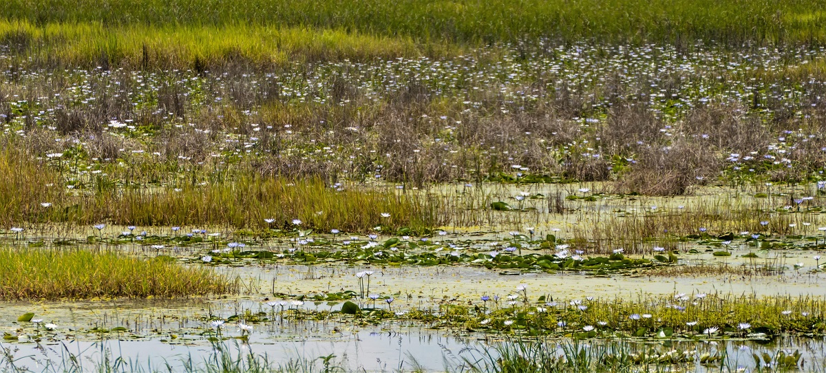 Tarangire National Park - Botswanadreams - Fotosafaris in Afrikas