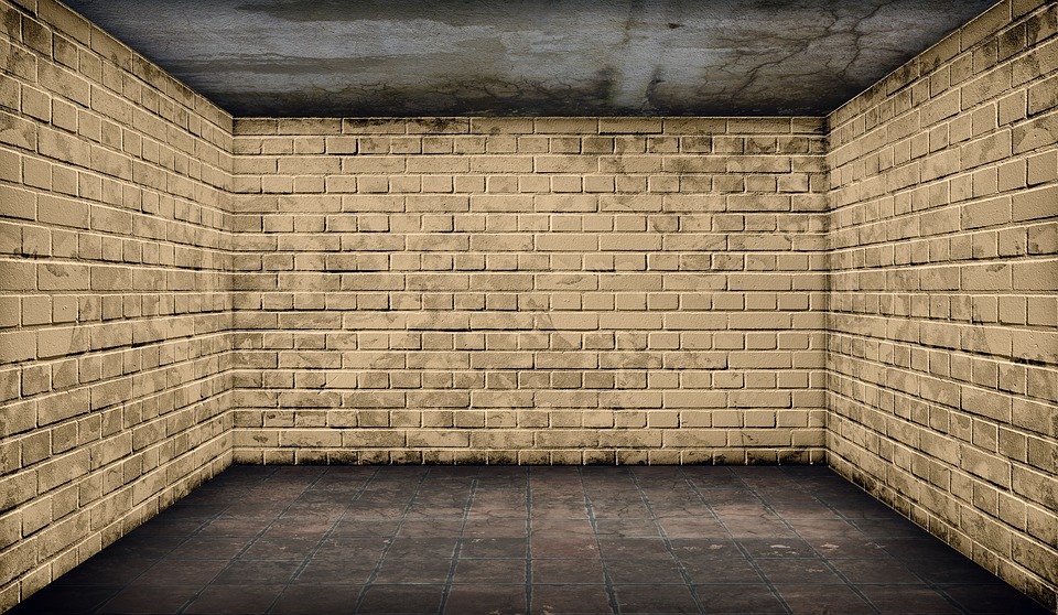 Meine Autogrammsammlung - Meine Autogrammkarten