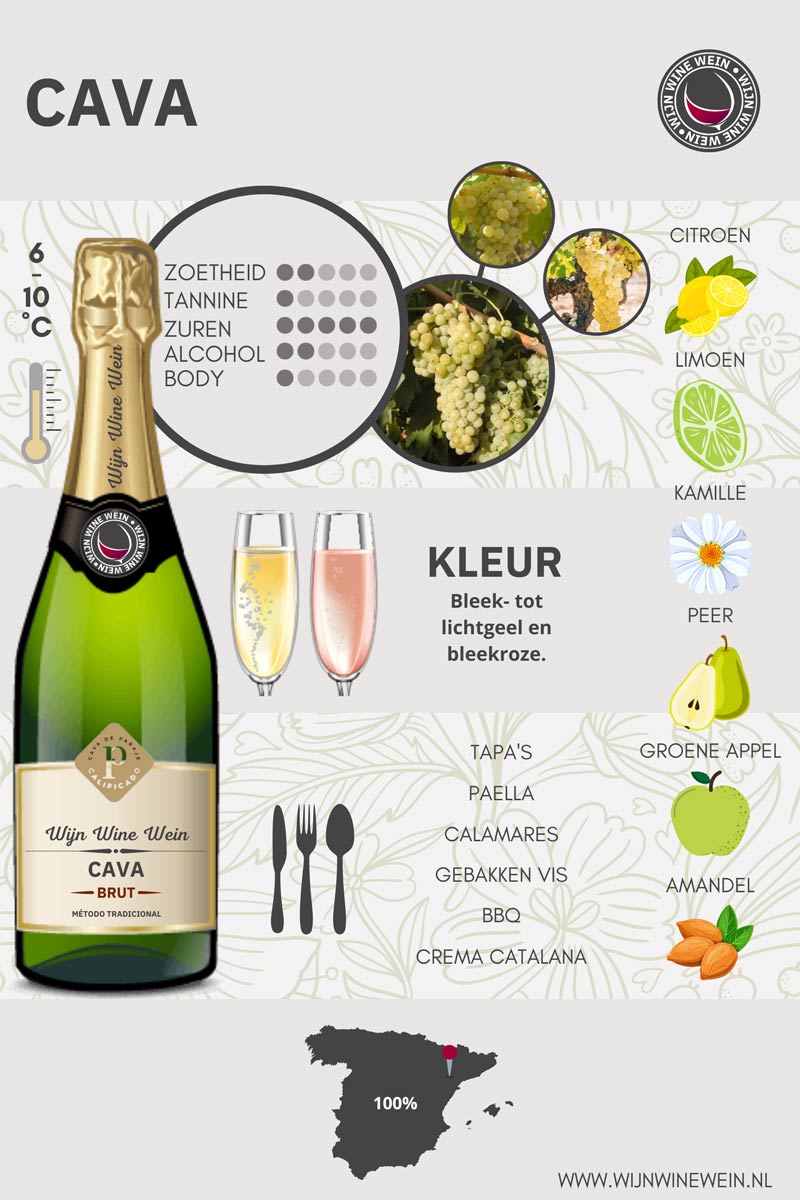 Bruisende Bubbels #6: Cava Cravings - Wijn Wine Wein