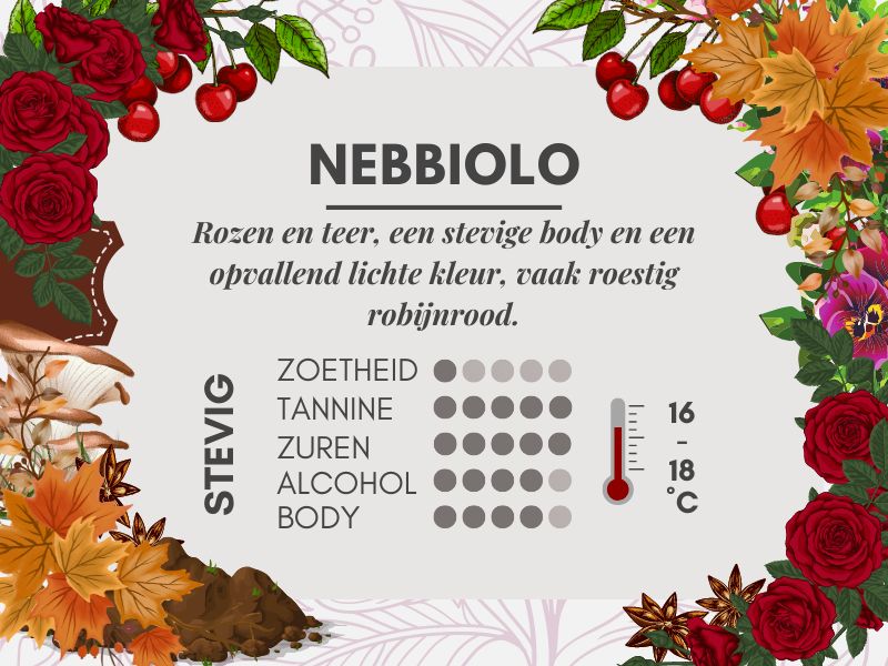 Wat is Nebbiolo? Wijn Guide + Infographic - Wijn Wine Wein