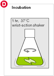 ASTM E2149 - Microbe Investigations (MIS)