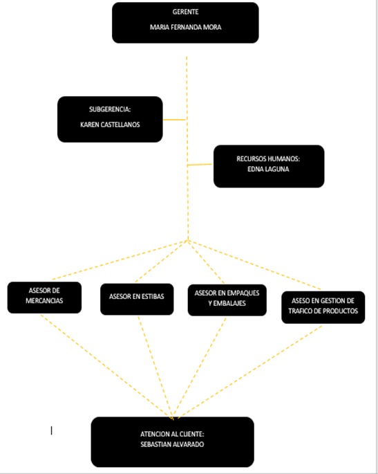 Organigrama - Página web de advicefeks
