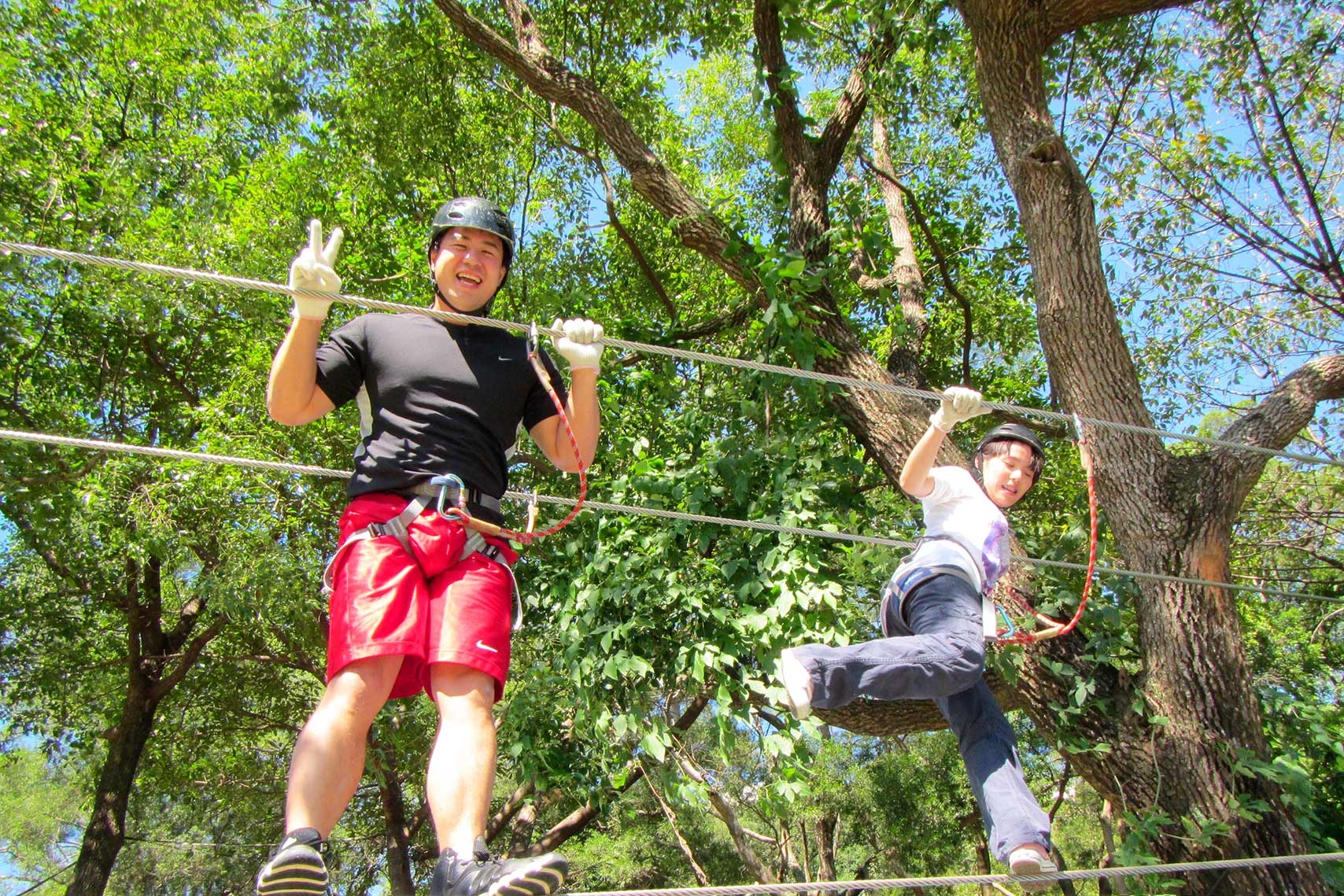 High Ropes / Low Ropes Team Building Asia - In Motion Asia