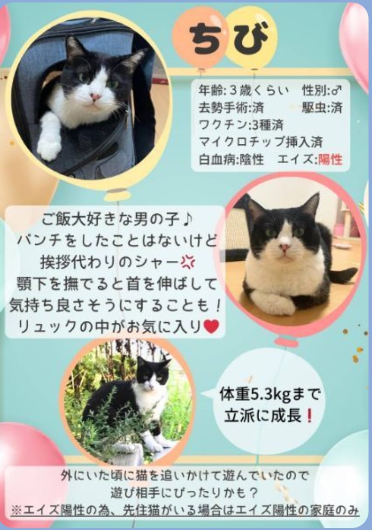 24-74 - むさしの地域猫の会