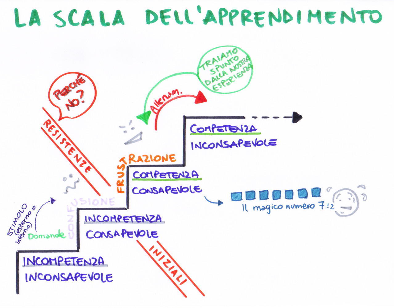 La scala dell'apprendimento - MetaDidattica - imparare æ insegnare