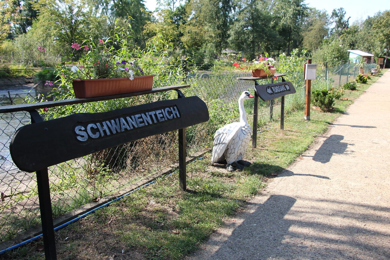 Angeln Jessen - DAV Angelverein - Jessen Webseite!