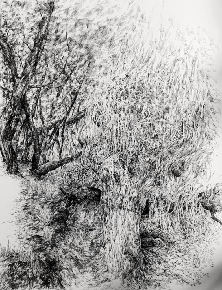 モノクロの魅力を伝える - anzu-art ページ！