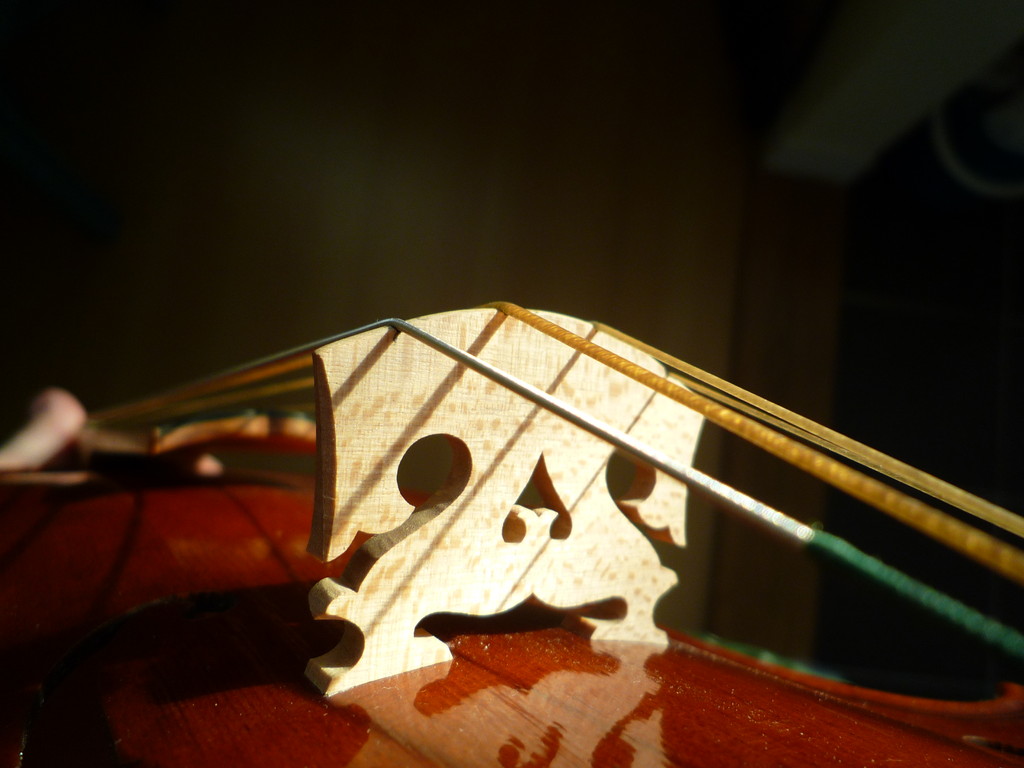 Gallery - The Violin Workshop :: Auckland :: Annette Voll - Master ...