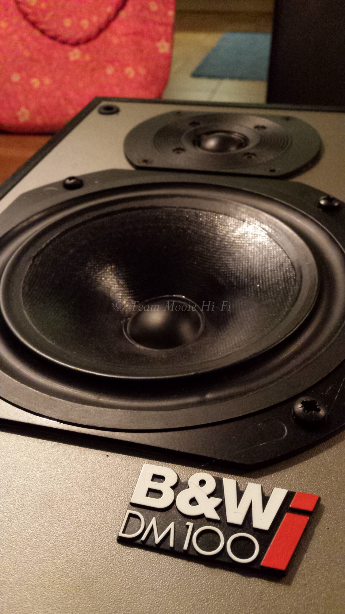 Review B&W DM100i - De website van mooiehifi!