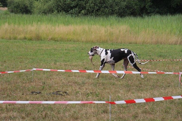 Über mich - HuSchuMaFu Hundeschule Maren Fuchs!