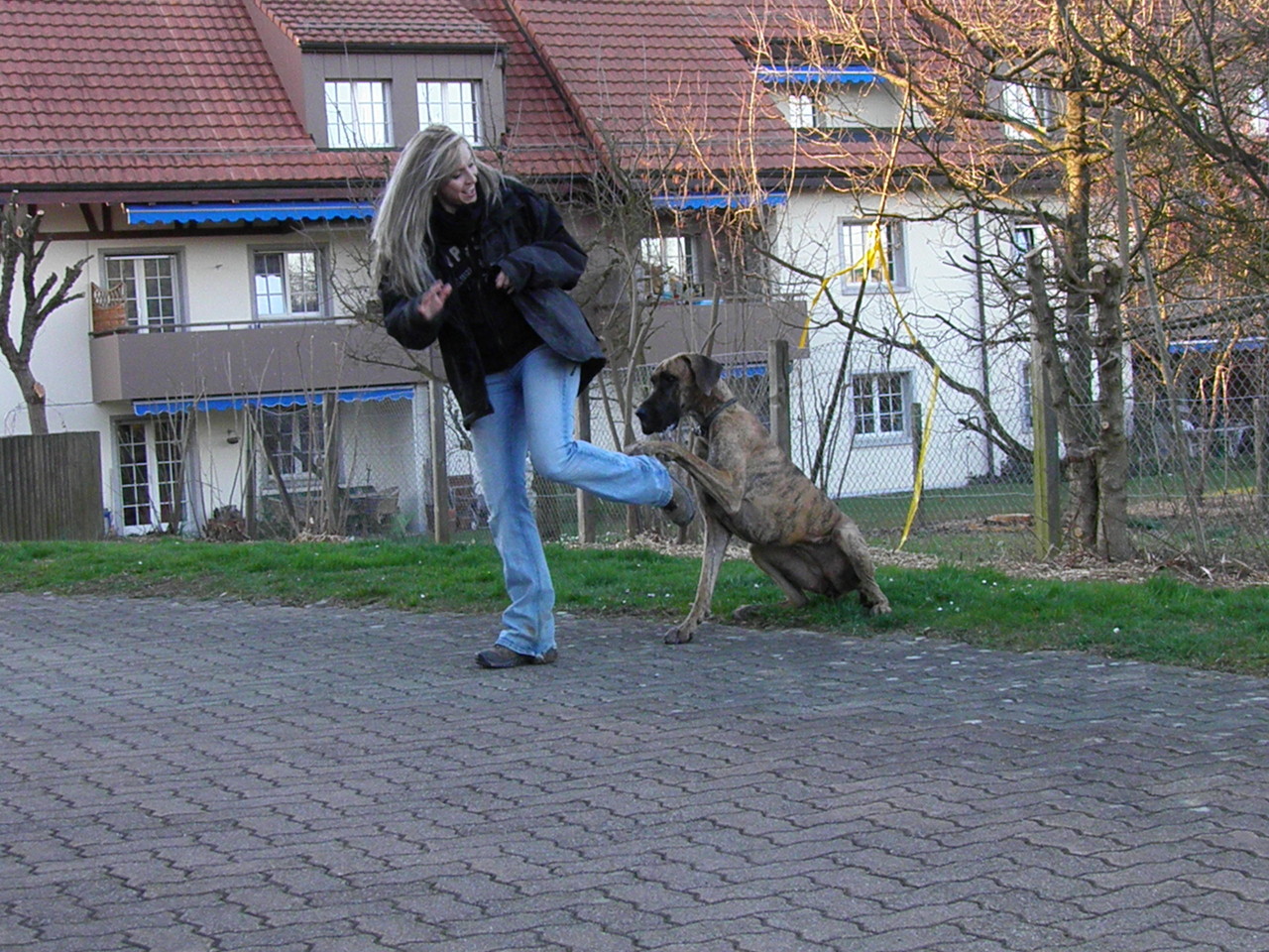Leinenführigkeitsworkshop - HuSchuMaFu Hundeschule Maren Fuchs!