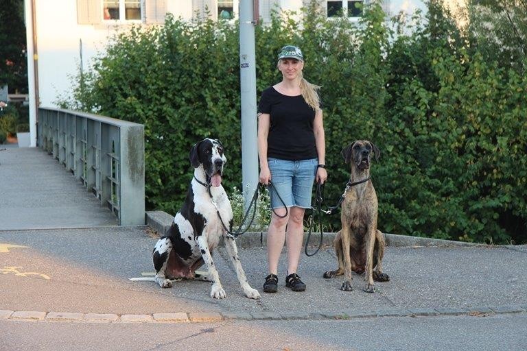 Über mich - HuSchuMaFu Hundeschule Maren Fuchs!