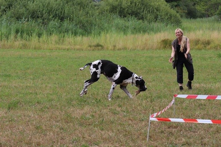 Über mich - HuSchuMaFu Hundeschule Maren Fuchs!