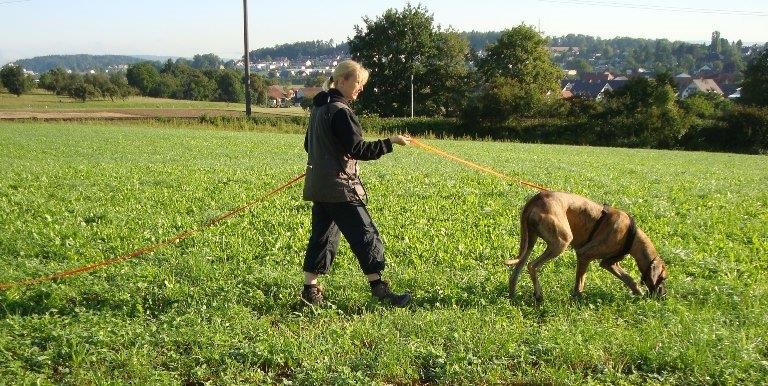 Über mich - HuSchuMaFu Hundeschule Maren Fuchs!