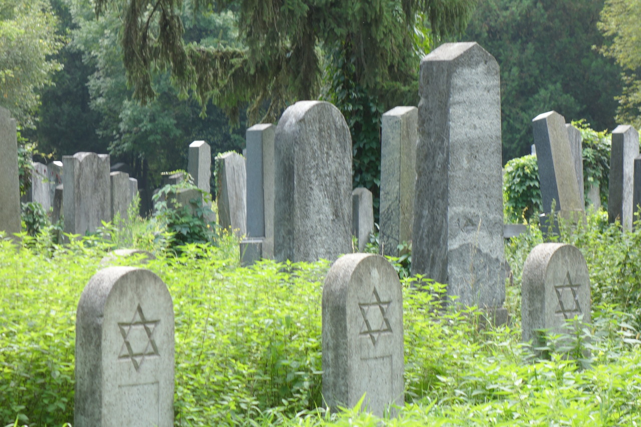 The Central Cemetery - vienna cultural walking tours