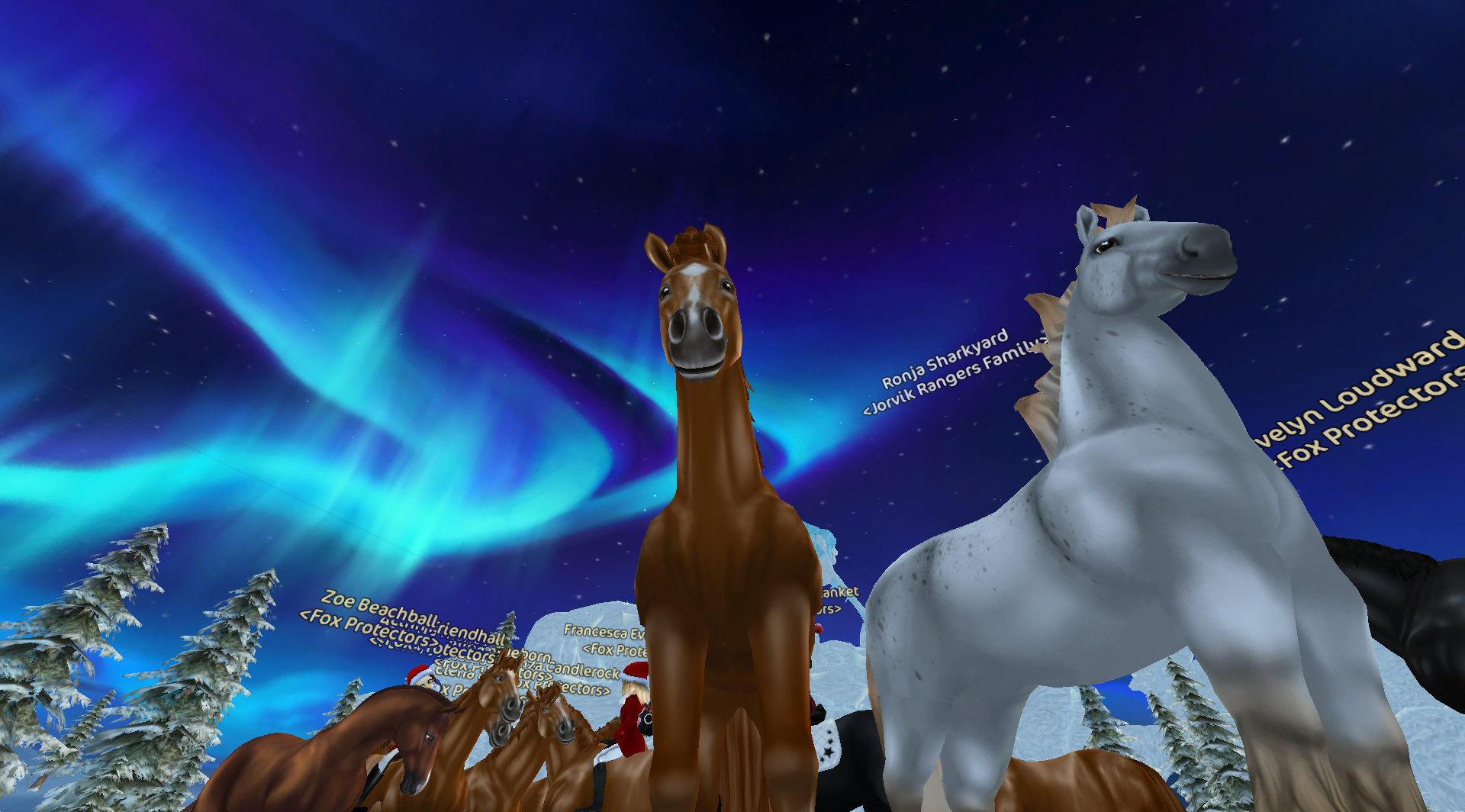 Random Bilder - fox-protectorss Webseite!