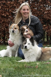 Chebo's van de Nijenhaer - De website van camperplaats "De Nijenhaer"