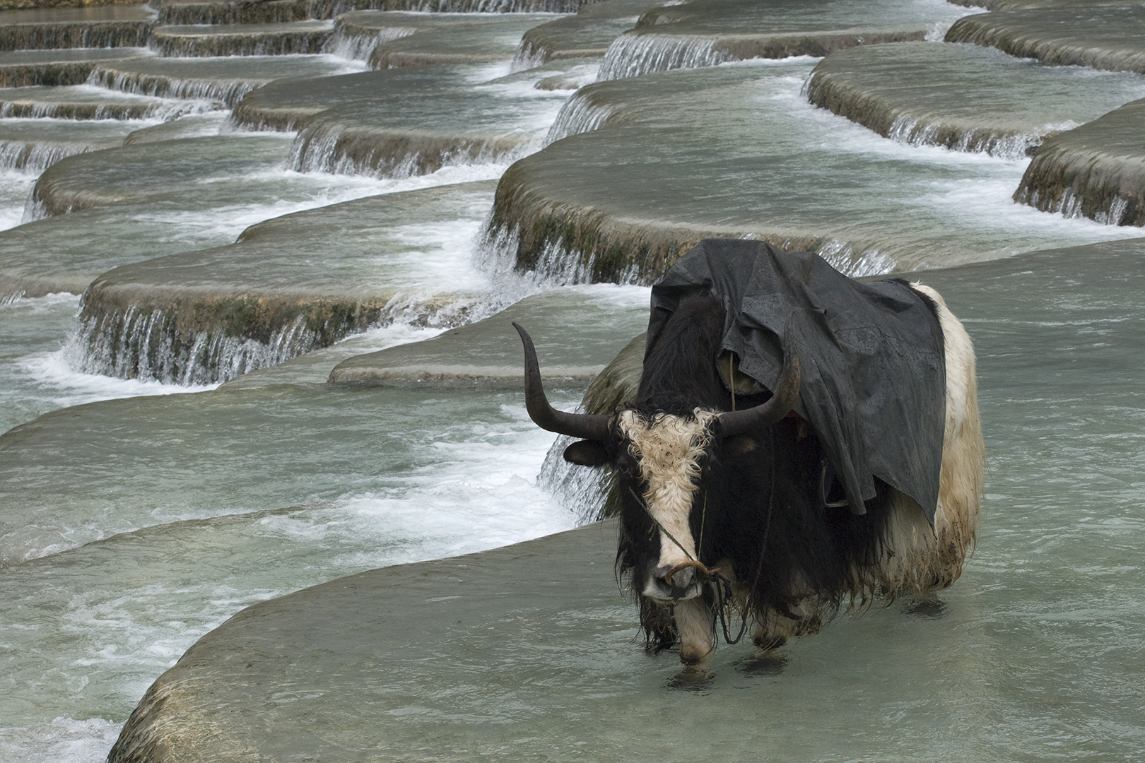 China - photoalliances Webseite!