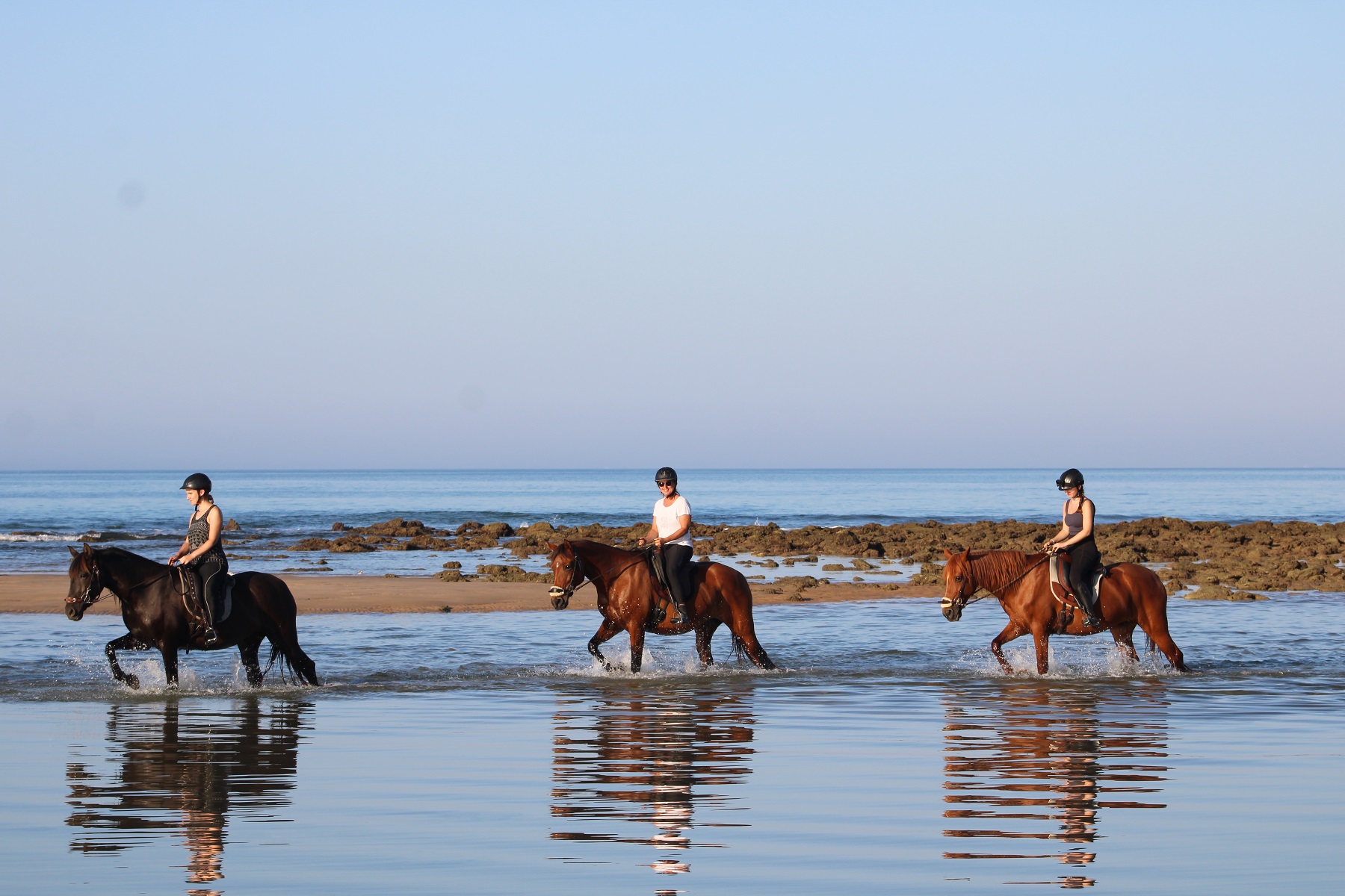 Andalusien Reiten Am Strand