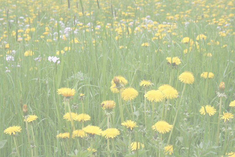 über den KOGL Emmendingen - KOGL-Emmendingen - Obst- und Gartenkultur ...