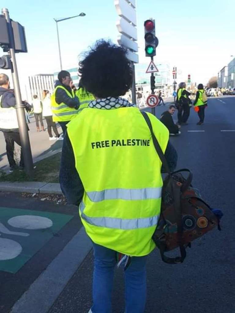 Frankrigs ”Gule Veste” – en folkelig revolte nedefra - autonom ...